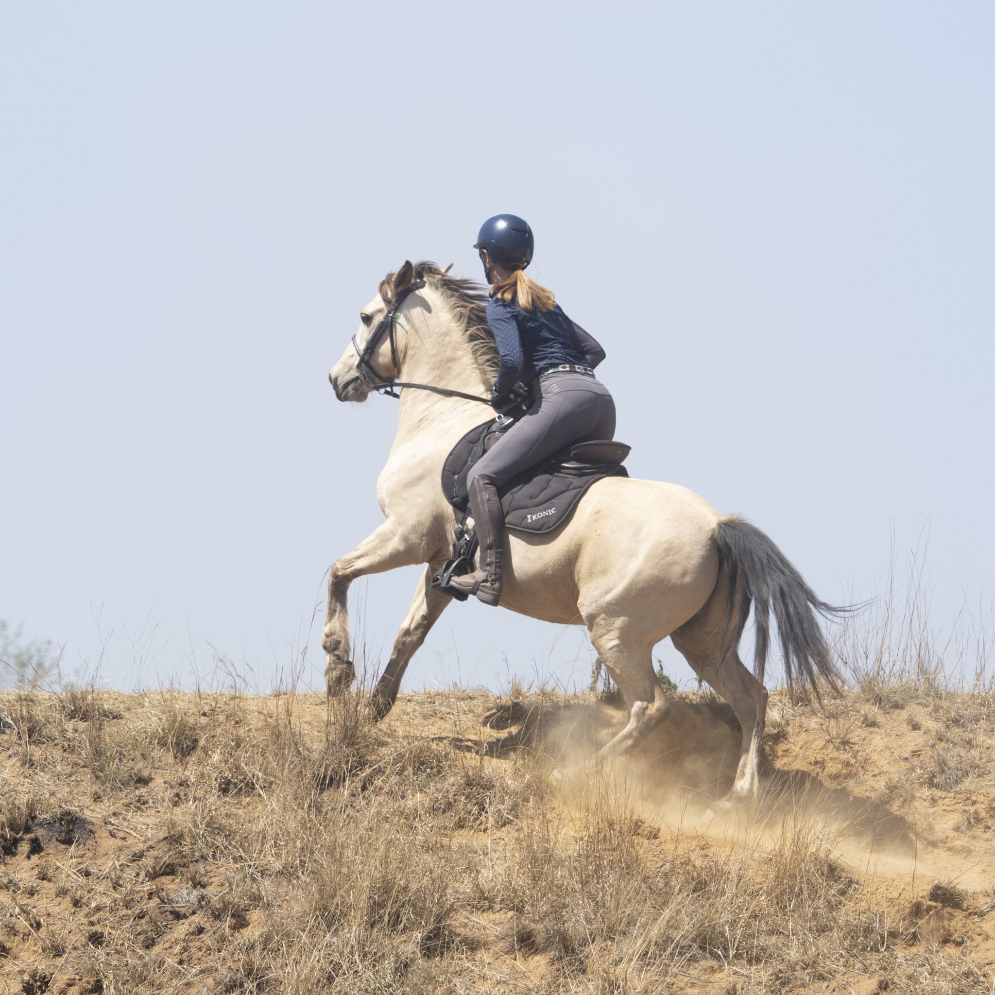 Home - Wild Ride Horse Safaris